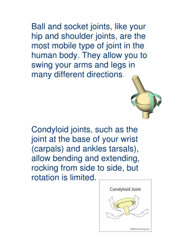 AQA GCSE PE 2016 Spec - Joints | Teaching Resources AQA GCSE PE 2016 Spec - Joints | Teaching Resources