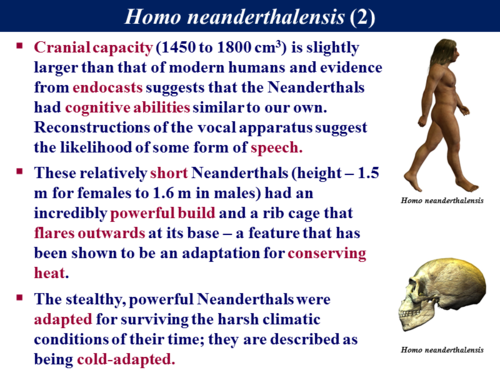 B3.2 Human Evolution - Fossil Evidence 1 by - UK Teaching Resources - TES