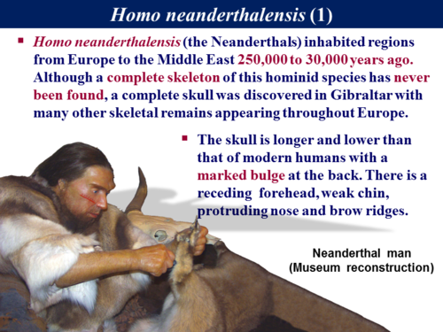 Bio3.2 Human Evolution - Fossil Evidence 1 | Teaching Resources