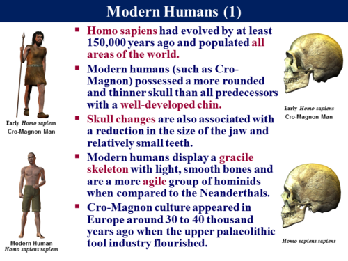 Bio3.2 Human Evolution - Fossil Evidence 1 | Teaching Resources