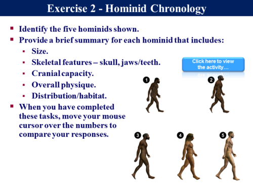 Bio3.2 Human Evolution - Fossil Evidence 1 | Teaching Resources