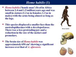 B3.2 Human Evolution - Fossil Evidence 1 | Teaching Resources
