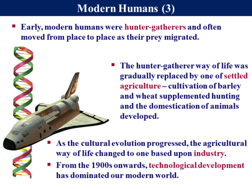 Bio3.2 Human Evolution - Fossil Evidence 1 | Teaching Resources
