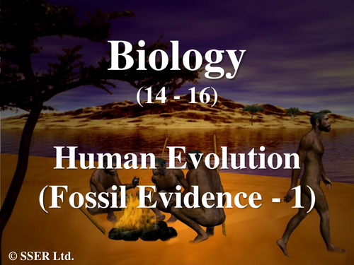 Bio3.2 Human Evolution - Fossil Evidence 1 | Teaching Resources