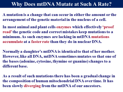 Bio3.2 Human Evolution - Mitochondrial Eve | Teaching Resources