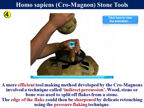 Bio3.2 Human Evolution - Stone Tools | Teaching Resources