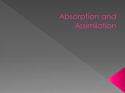 Digestion-Absorption and assimilation | Teaching Resources