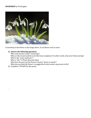 Snowdrop by Ted Hughes Poetry Analysis Worksheet | Teaching Resources