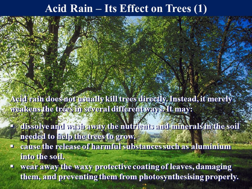 Bio7.11 Environment - Air Pollution | Teaching Resources