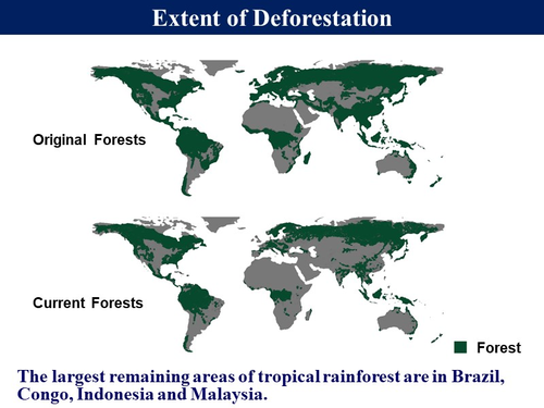 Bio7.14 Environment - Deforestation | Teaching Resources