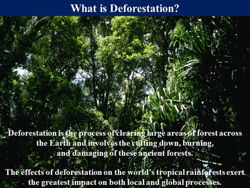 Bio7.14 Environment - Deforestation | Teaching Resources
