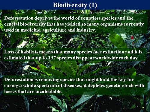Bio7.14 Environment - Deforestation | Teaching Resources