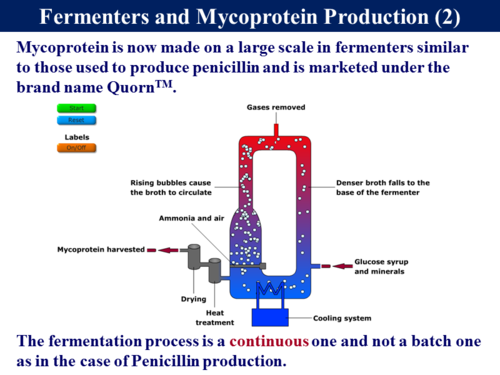 3.4.3 Food Production - Mycoprotein by - UK Teaching Resources - TES