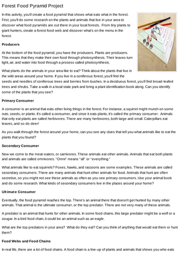 Food Chains for SEN | Teaching Resources