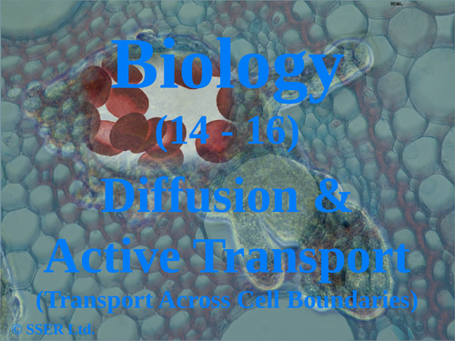 Bio1.4 Transport Across Cell Boundaries - Diffusion & Active Transport ...