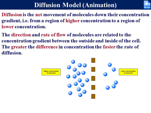 Bio1.4 Transport Across Cell Boundaries - Diffusion & Active Transport ...