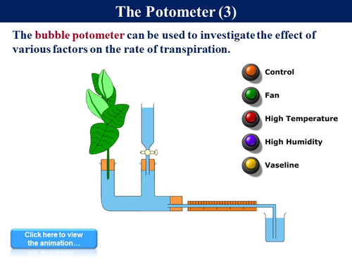 Bio2.14 Exchange Systems In Plants (Transpiration & Potometer ...