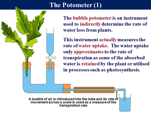 Bio2.14 Exchange Systems In Plants (Transpiration & Potometer ...