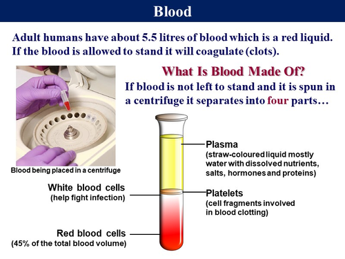 Bio2.8 The Blood | Teaching Resources