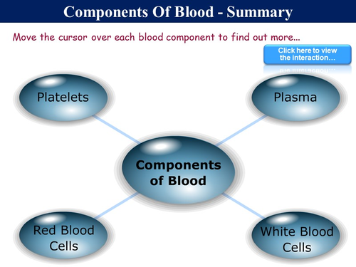 Bio2.8 The Blood | Teaching Resources