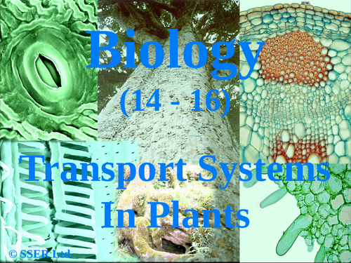 Bio2.15a Transport Systems in Plants | Teaching Resources