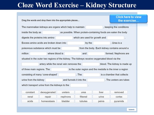 Bio5.7 Homeostasis - Kidney & Osmoregulation | Teaching Resources