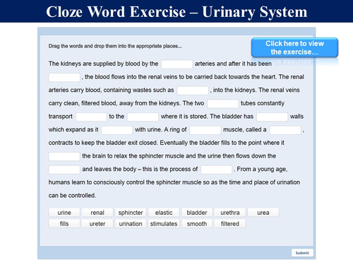 Bio5.7 Homeostasis - Kidney & Osmoregulation | Teaching Resources