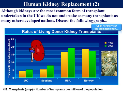 Bio5.7 Homeostasis - Kidney & Osmoregulation | Teaching Resources