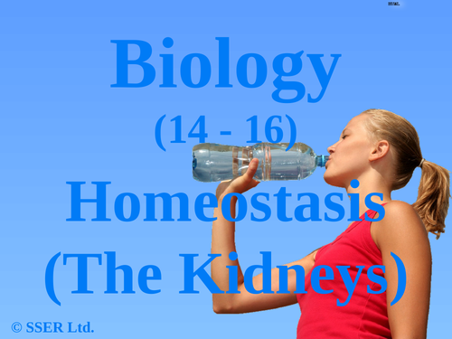 Bio5.7 Homeostasis - Kidney & Osmoregulation | Teaching Resources