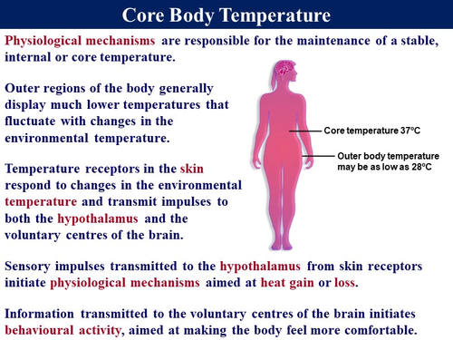Bio5.8 Homeostasis - Temperature Control | Teaching Resources