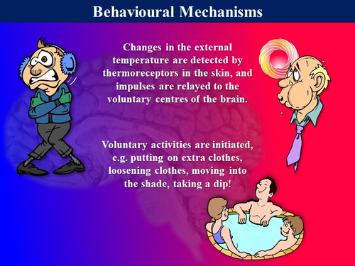 Bio5.8 Homeostasis - Temperature Control | Teaching Resources
