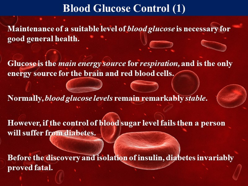 Bio5.9 Homeostasis - Sugar Control | Teaching Resources