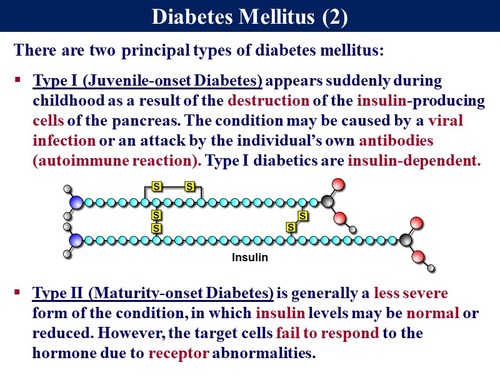 Bio5.9 Homeostasis - Sugar Control | Teaching Resources