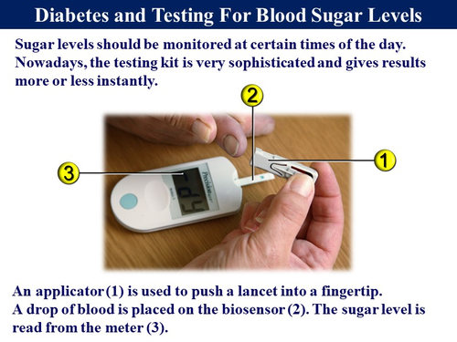 Bio5.9 Homeostasis - Sugar Control | Teaching Resources