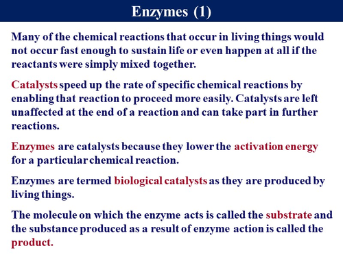 Bio2.16 Enzymes 1 - Metabolic Catalysts | Teaching Resources