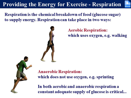 Bio4.3 Respiration & Exercise | Teaching Resources