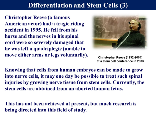 Bio1.7 Mitosis, Stem Cells & Cell Differentiation | Teaching Resources