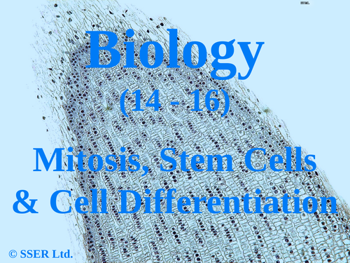 Bio1.7 Mitosis, Stem Cells & Cell Differentiation | Teaching Resources
