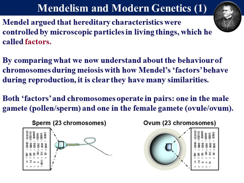 Bio6.7 Inheritance - Genetic Variation | Teaching Resources Bio6.7 Inheritance - Genetic Variation | Teaching Resources