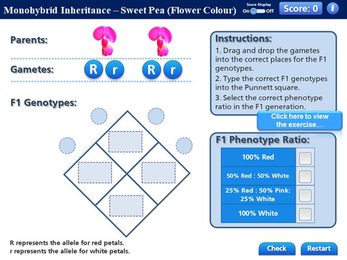 Bio6.7 Inheritance - Genetic Variation | Teaching Resources Bio6.7 Inheritance - Genetic Variation | Teaching Resources