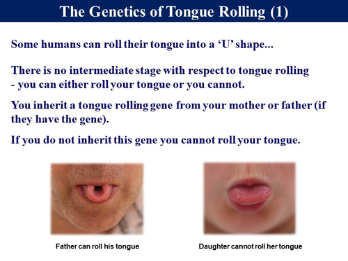 Bio6.7 Inheritance - Genetic Variation | Teaching Resources Bio6.7 Inheritance - Genetic Variation | Teaching Resources