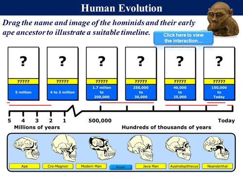 Bio6 13 Speciation And Fossil Record Teaching Resources