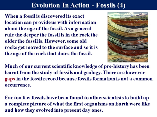 Bio6 13 Speciation And Fossil Record Teaching Resources