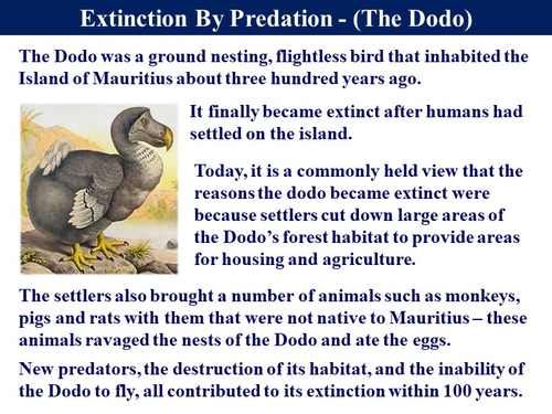 Bio6 13 Speciation And Fossil Record Teaching Resources