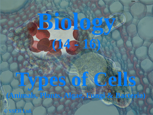 Bio1.1 Cells - Animals, Plants, Algae, Fungi & Bacteria | Teaching Resources