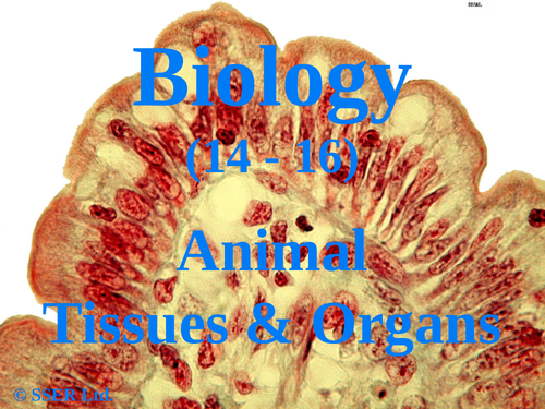 Bio2.2 Tissues & Organs - Animals and Humans | Teaching Resources