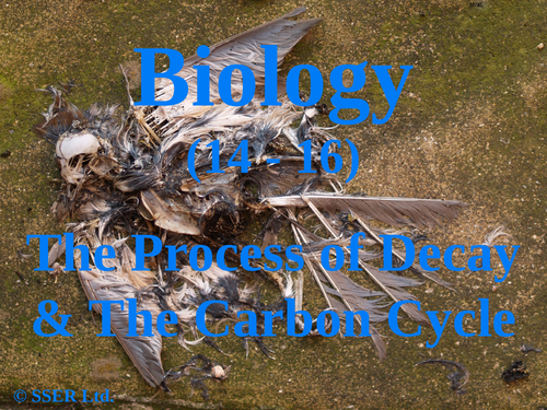 Bio7.8_7.9 Decay & The Carbon Cycle | Teaching Resources