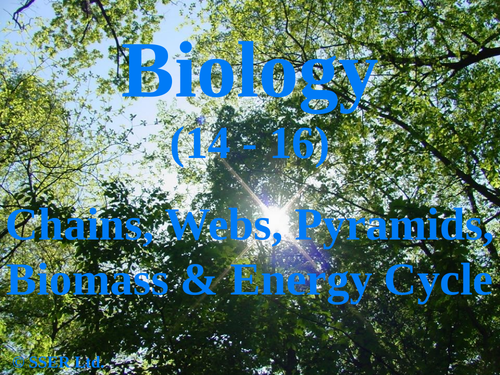 Bio7.6_7.7 Food Chains, Webs, Pyramids, Biomass & Energy Cycle ...
