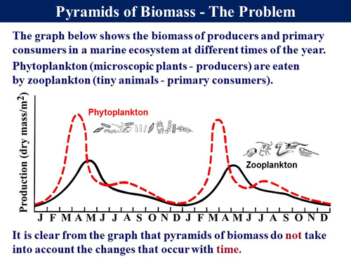 Bio7.6_7.7 Food Chains, Webs, Pyramids, Biomass & Energy Cycle ...