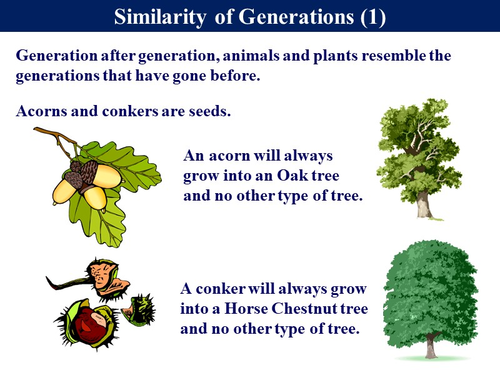 Bio6.2 Variation - Sources & Types | Teaching Resources